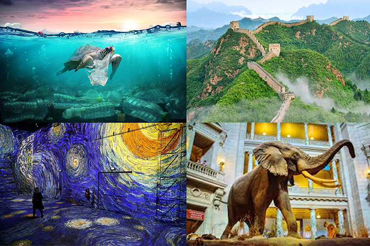 The Marlborough Science Academy - Cultural Capital