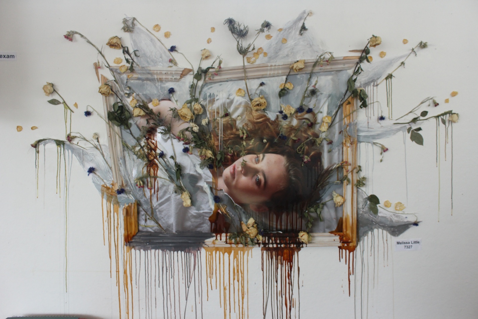 The Marlborough Science Academy - Art and Photography - July 2017